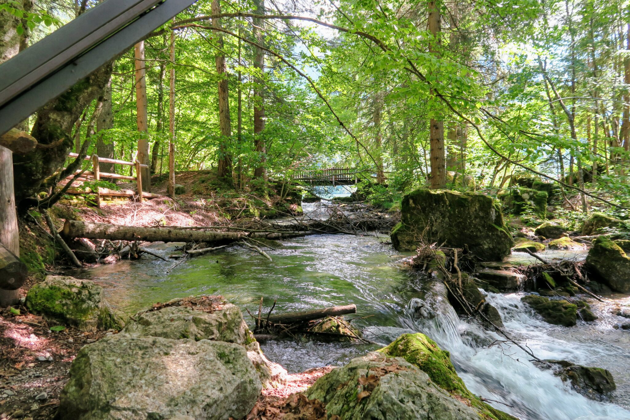 Lake Tovel - Red Lake in the Dolomites
