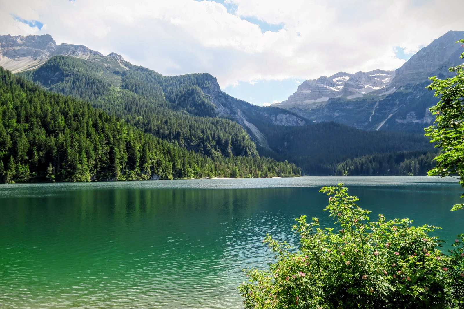 Lake Tovel - Red Lake in the Dolomites