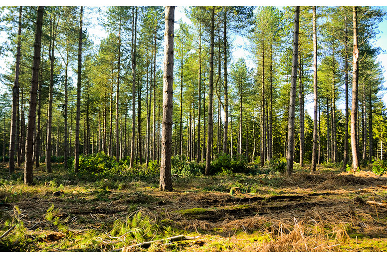 16 Best Things To Do In Omaha (Nebraska)